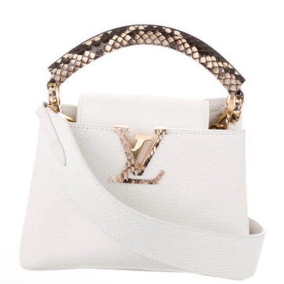 Louis Vuitton | Bags | Louis Vuitton 220 Water Snake A Trimmer Mini ...